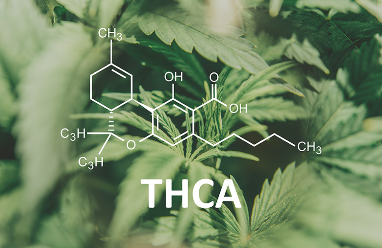 WHAT IS THCA? - CStore Decisions
